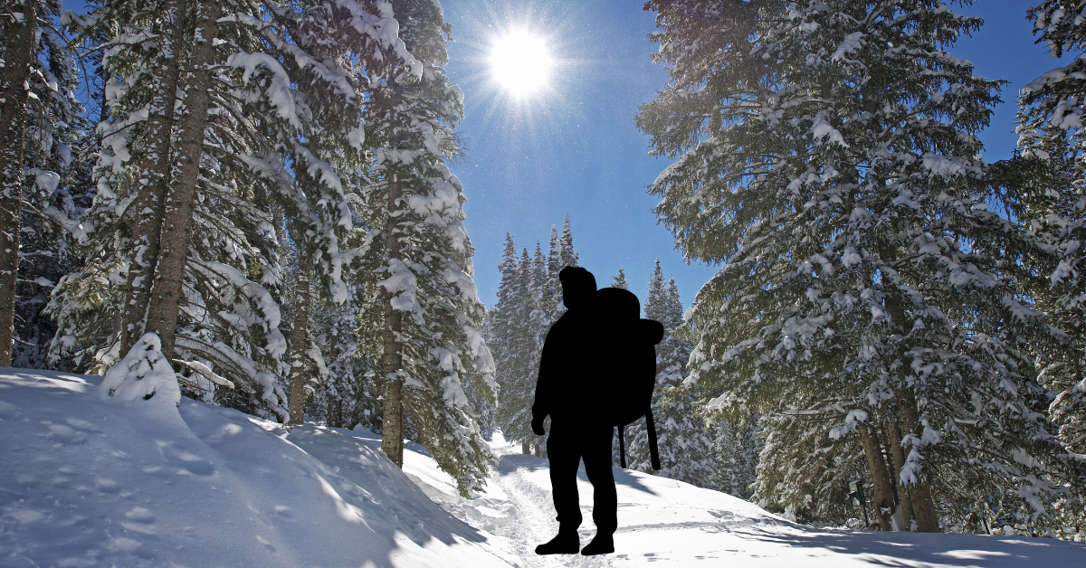 Zeigo | The Zeigo Guide Part Two: Advancing Decarbonization